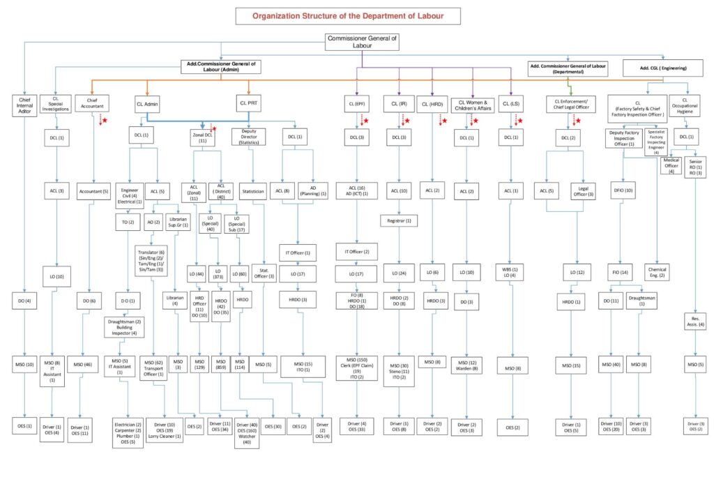 Organization Structure – Department of Labour